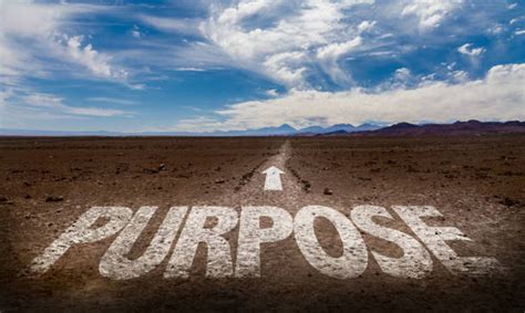 The Journey Of Finding Purpose In Life