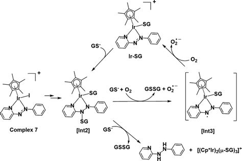 Proposed Activation And Catalysis Pathways For The Reaction Of Complex