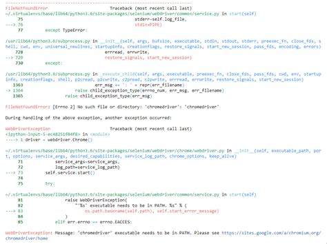 [code example] what could be my issue with selenium and juptyer notebook