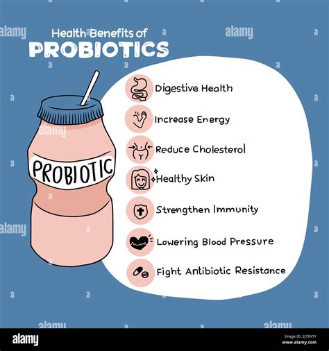 Health Benefits Of Probiotics Info Graphic Chart Vector Illustration