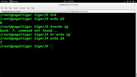 print variable value bash