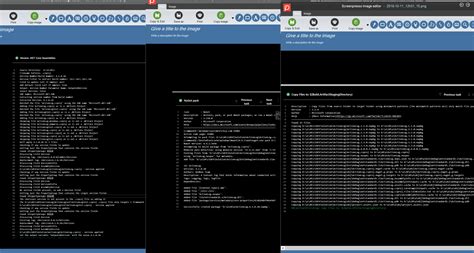 nuget pack for standard not updating version build number in