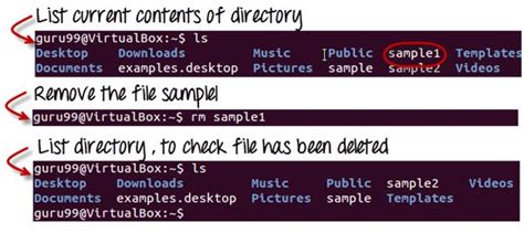 basics linux unix commands with examples and syntax list 2022