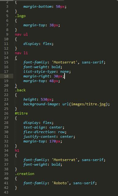 bootstrap container fuid et background image exercice intégration