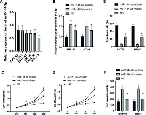 Expression Of Mir 144 3p In Cells And Its Effect On Cell Biological