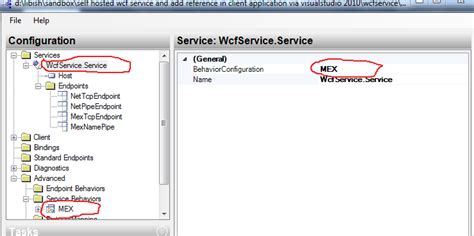 [article] creating wcf service and self hosting in a console