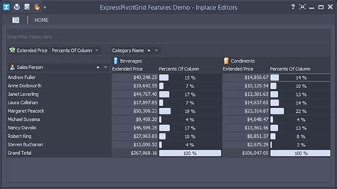 vcl pivot table for delphi and c builder developers