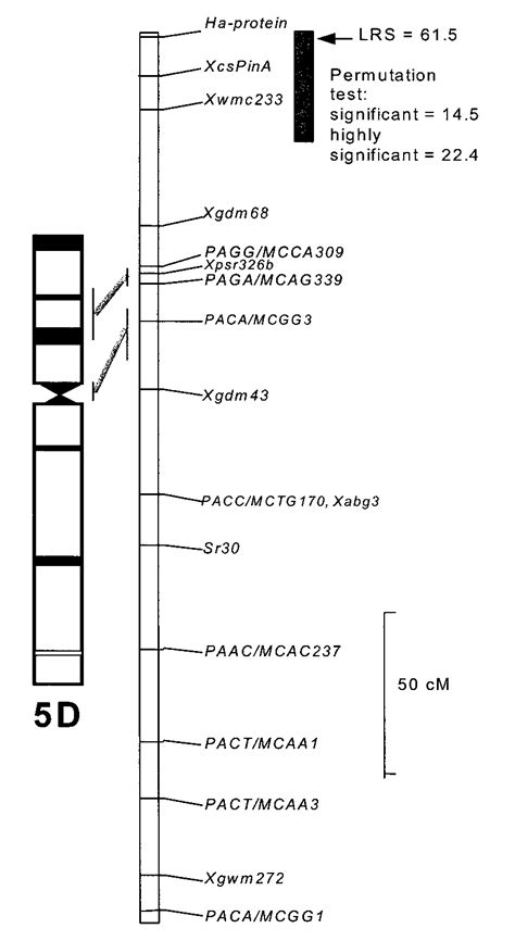 Quantitative Trait Locus Qtl Analysis For Hardness Index In