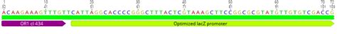 Team Bielefeld Cebitec Project Selection Bacterial Two Hybrid System