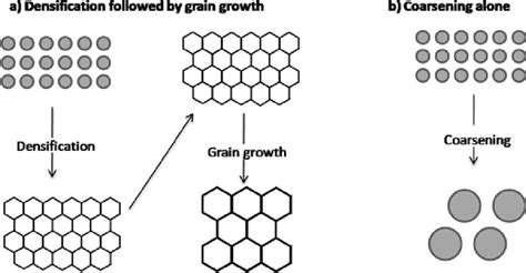 14 Pictorial Presentation Of Densification Grain Growth And