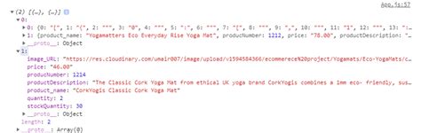 javascript when saving data array of objects in react state