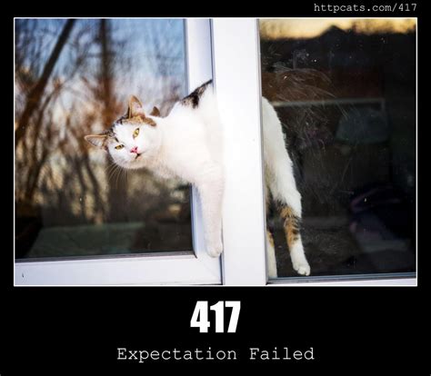 417 expectation failed status code and cats