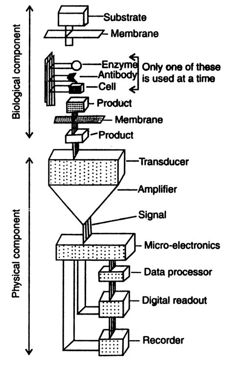 Biosensor Enzyme Technology