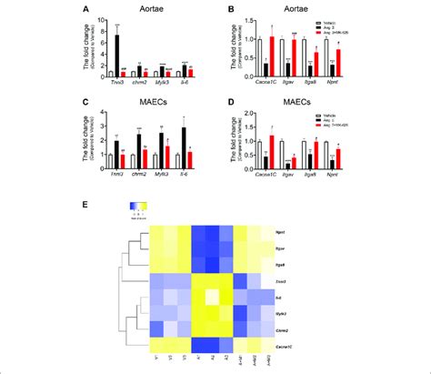 Mrna Verification And Heatmap Analysis Qrt Pcr Validated The