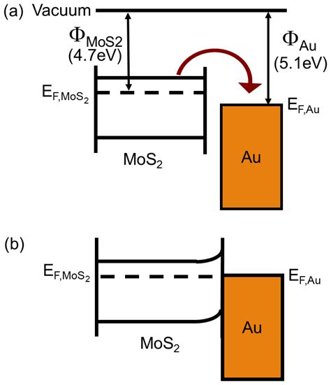 A The Energy Band Diagram For Mos2 And Au Shows The Relative