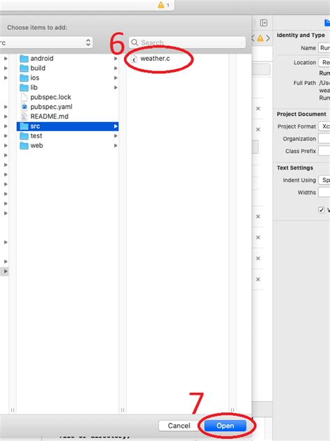 calling native libraries in flutter with dart ffi