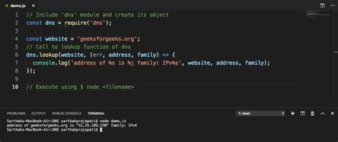 node js dns 码农参考