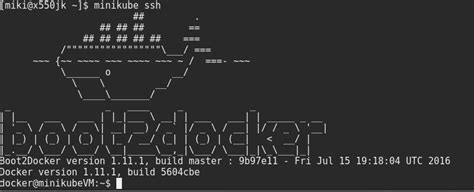 how to install kubernetes locally using vagrant minikube