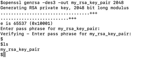 programming for beginners openssl how to generate rsa private public