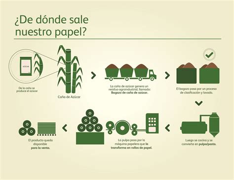 Proceso De Elaboración Del Papel