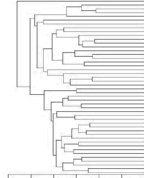 Dendrogram Constructed Using Upgma Based On Jaccards Similarity Matrix
