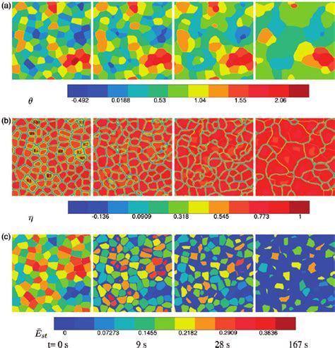 Predicted Evolution Of The Polycrystalline Aggregate Microstructure