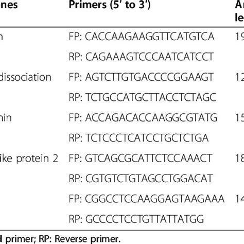 Primer Sequences And Amplicon Lengths Of Quantitative Real Time Pcr