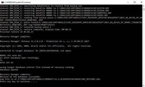 oracle database data backup and restore