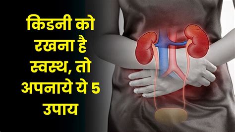 Health Tips किडनी को रखना है स्वस्थ तो अपनाये ये 5 उपाय साथ ही कई