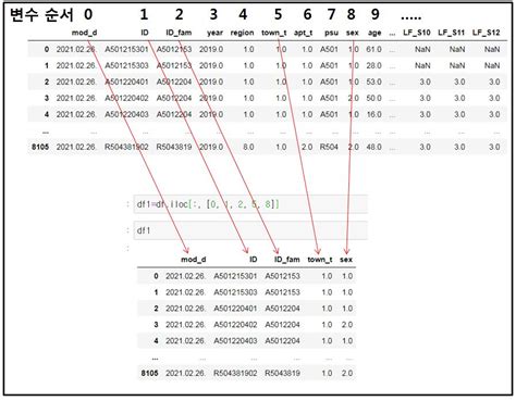 통계 R 패키지 Sas Spss와 파이썬 따라잡기 변수 추출 Extract Variables Python