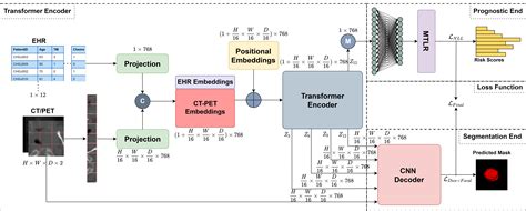 Tmss An End To End Transformer Based Multimodal Network For