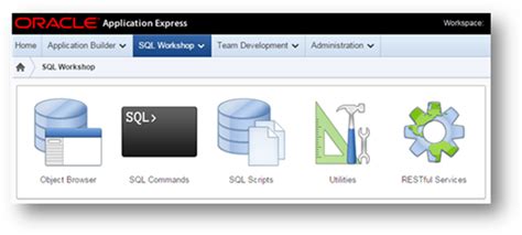 oracle business intelligence cloud service bics oracle brasil