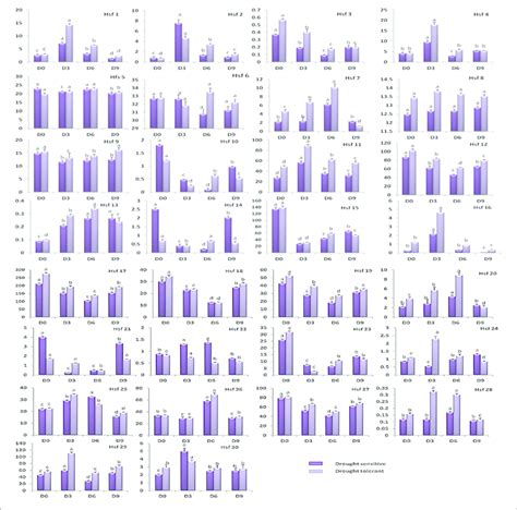 Relative Quantitative Expression Levels Of Sesame Hsf Genes At A
