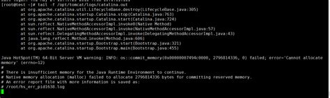 处理 java tomcat 的“cannot allocate memory”错误 csdn博客