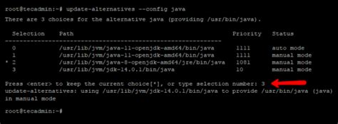 how to install java on ubuntu 20 04 tecadmin