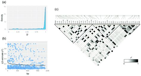 Linkage Disequilibrium Ld Evaluation In The Vviucc1 Gene A Density