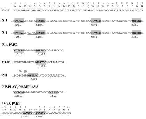 Phage Display Peptide Libraries For Vectors F8 5 F8 6 And F8 6