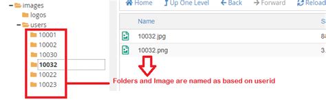 php how to get image url in laravel stack overflow