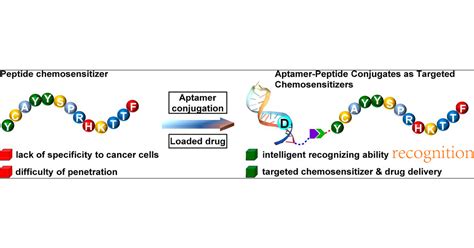 Non Selex Method For Aptamer Selection Against 42 Off