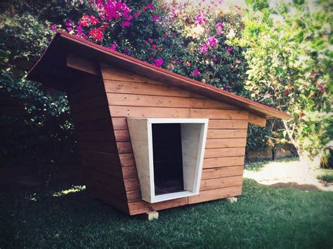 Casas Para Perros Recicladas
