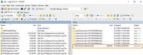 restore a sql database from windows sql server to sql server linux instance