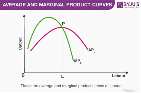 shapes of total product marginal product and average product curves