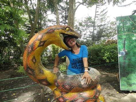 inglês todos os dias 43 este é um avião de verdade