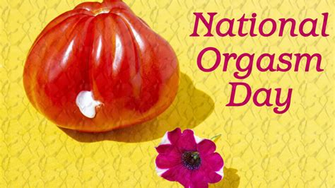 Reasons To Celebrate National Orgasm Day Myzumio