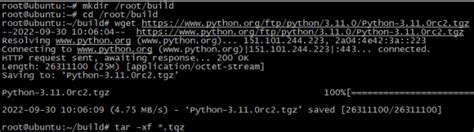 install python latest version on ubuntu 20 04