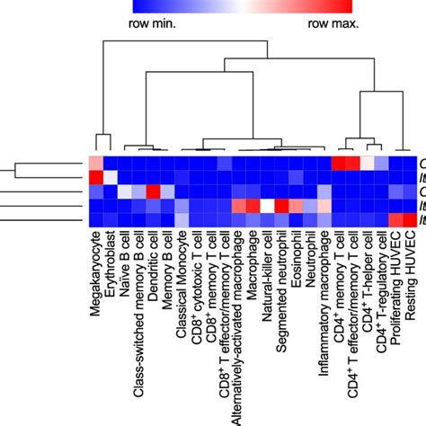 Gene Expression Patterns Of Cd40l And Its Receptors In Human Immune