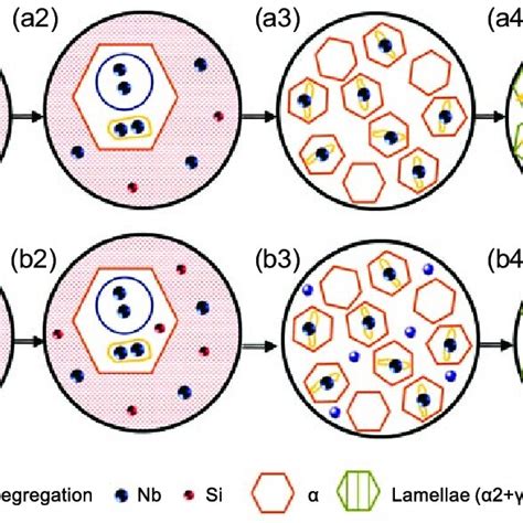 Schematic Diagram Showing Microstructure Evolution Of Ti48al6nbxsi