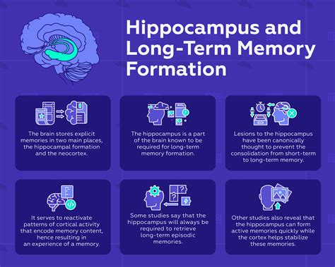 Long Term Memory Maze Engineers