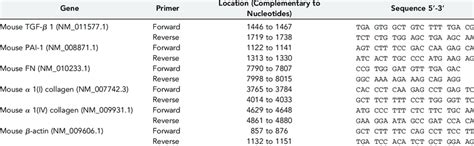 Primers Used For Real Time Reverse Transcriptase Pcr Download Table