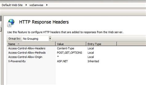 c access control allow origin is in iis but not